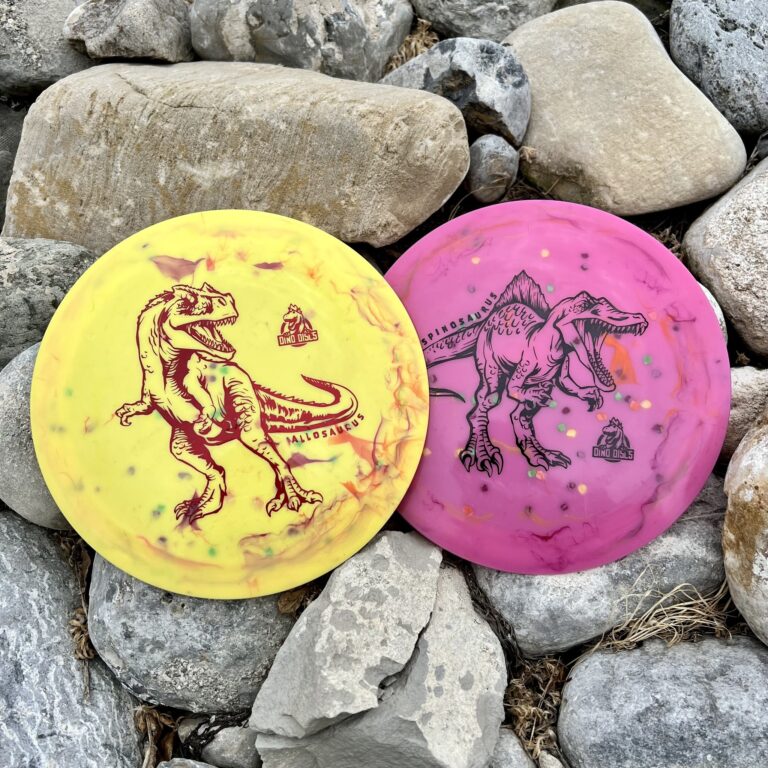 Best Disc Golf Discs for Kids & Juniors - Disc Golf Fanatic.com